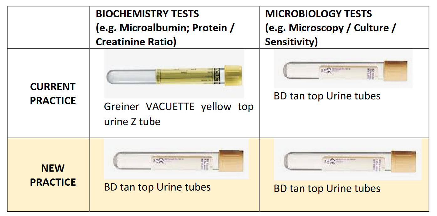 Uro Beyond Waste Understanding Urine s Potential In Precision Uro Beyond Waste Understanding Urine s Potential In Precision